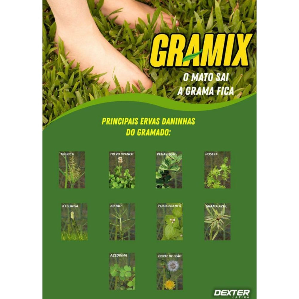 Gramix 100ml Herbicida Seletivo Controle De Ervas Daninhas - Carrefour