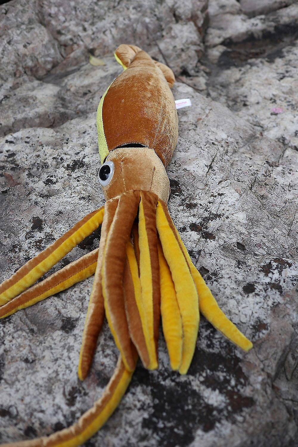 Chocos Pelúcia Brinquedos Realistas Lula Gigante Empalhado Brinquedo ...