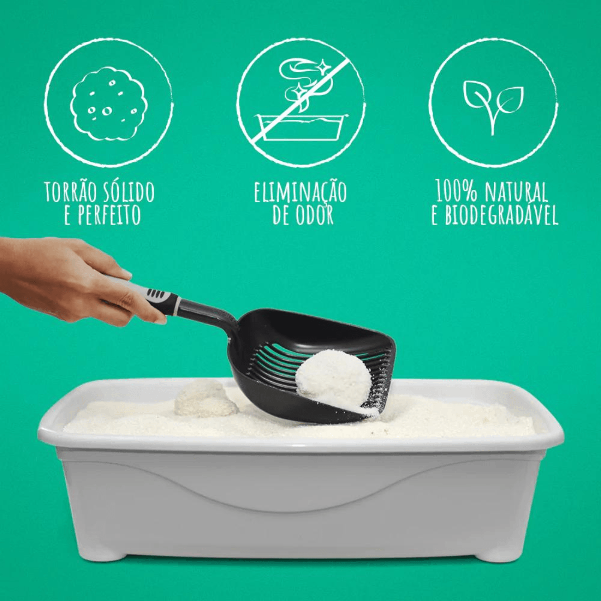 Areia Sanitária Viva Verde Vida Descomplicada 4kg - Carrefour