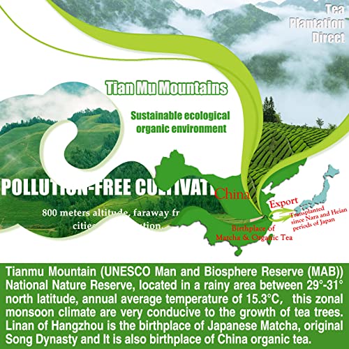 Chá Matcha Orgânico Certificado Efoofan - Premium Culinary Gr - Carrefour