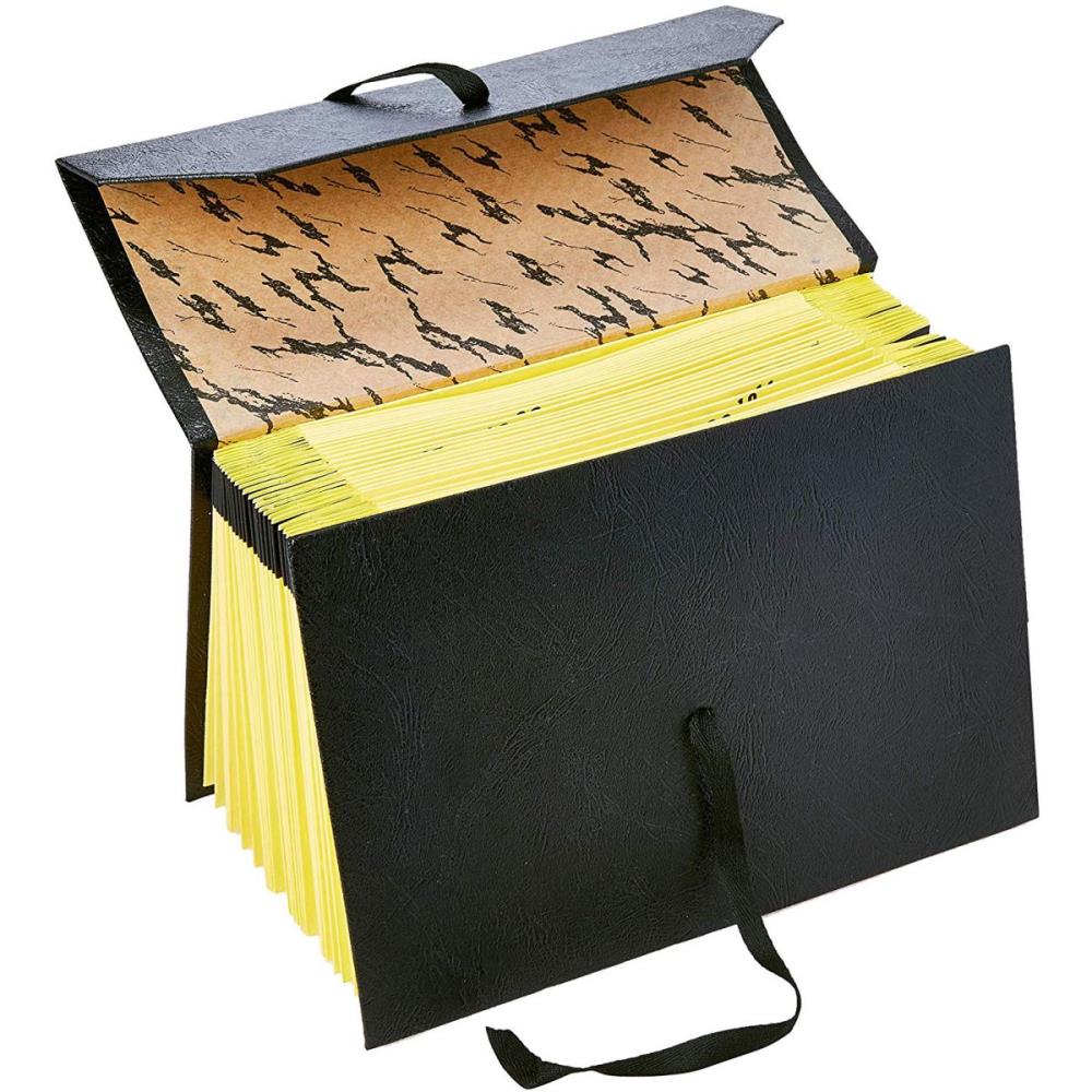 Pasta Sanfonada Papel Duplicata 31 Div Preta Luxo - Carrefour