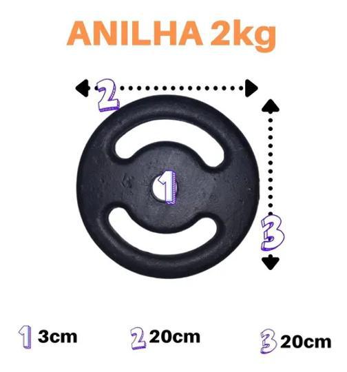 Anilha 2kg Super Premium Ferro Fundido Pintada Academia/casa - Carrefour