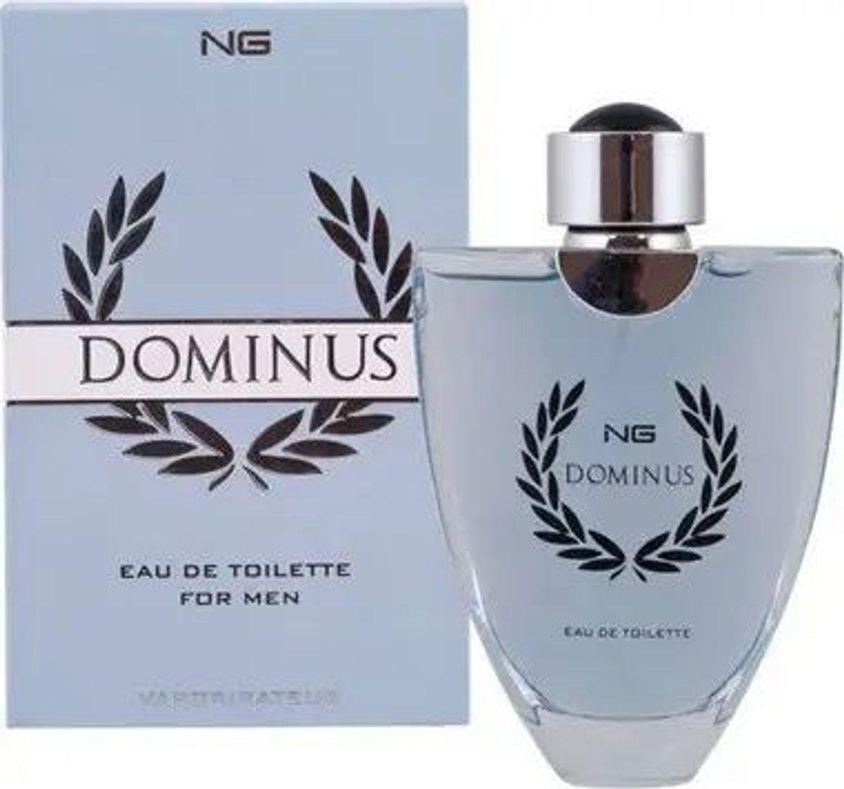 Perfume Dominus Edt 100 Ml Masculino - Carrefour