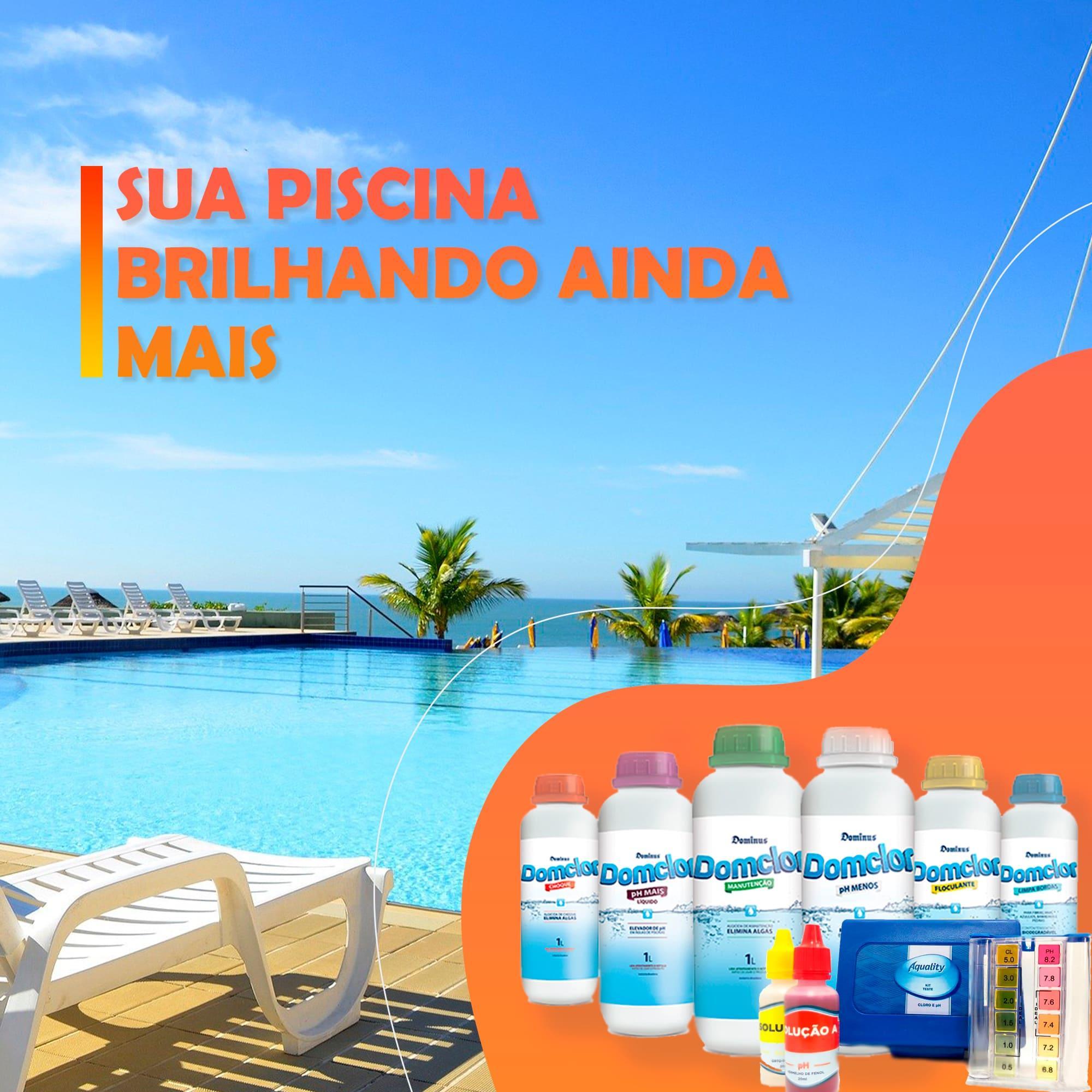 Kit Limpeza E Tratamento De Piscinas Completo + Estojo Teste - Carrefour