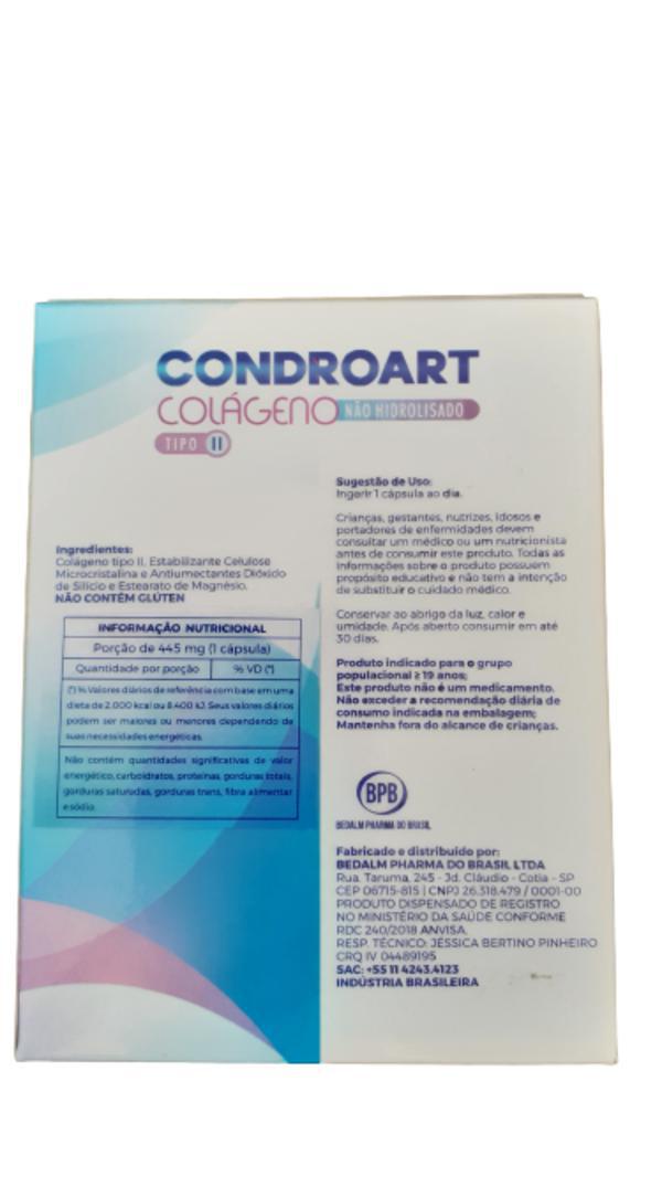 Condroart Colágeno Não Hidrolisado Tipo Il - Carrefour