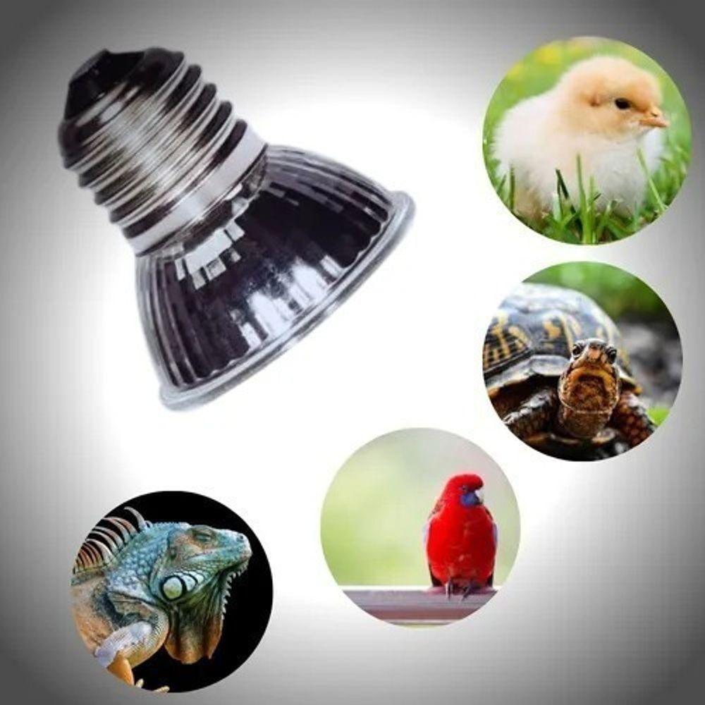 Lâmpada Aquecimento Uva Uvb Repteis Tartarugas 75w 110v - Carrefour