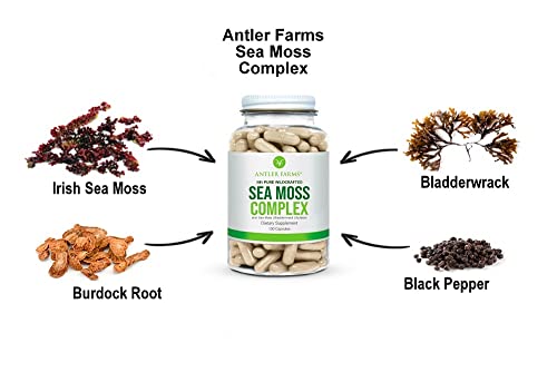 Antler Farms – Complexo De Musgo Do Mar 100% Puro, 130 Cápsulas, O ...
