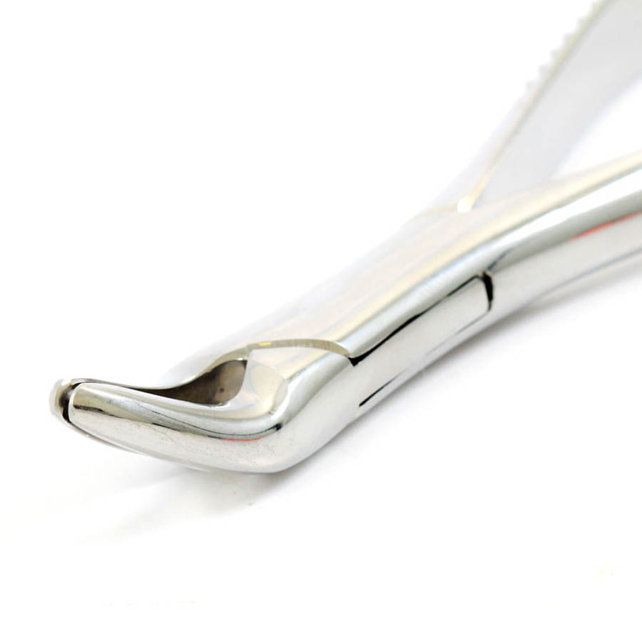 Fórceps Odontológico 101 - Golgran - Carrefour