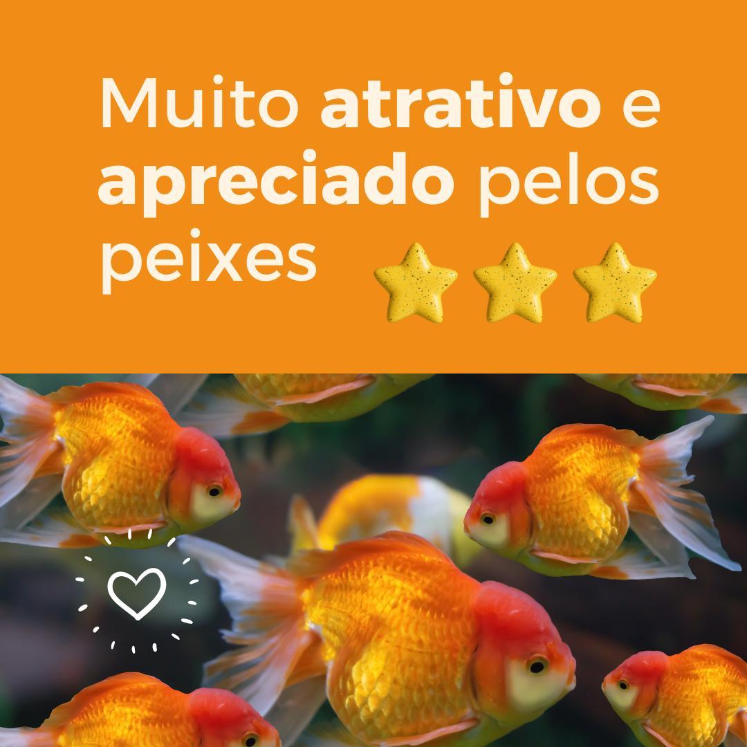 Ração Premium Para Kinguios Zoofish Goldfish Color 200g - Carrefour