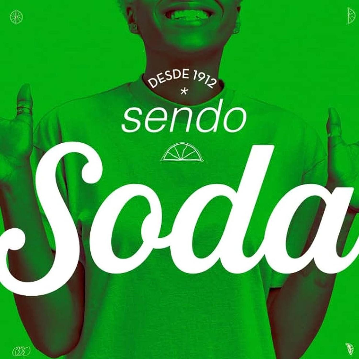 Refrigerante Soda Limonada Antarctica Lata 350ml (24 Latas) - Carrefour