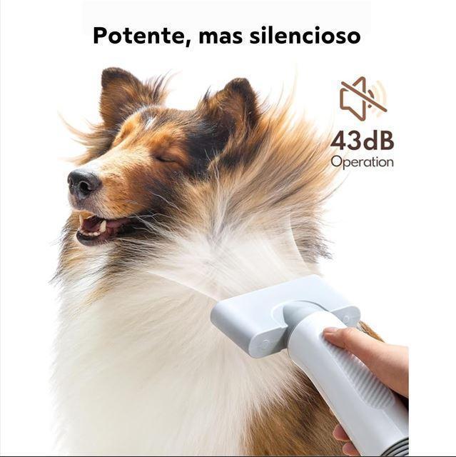 Soprador Silencioso Com Aquecimento Secador 2em1 -cães Gatos - Carrefour