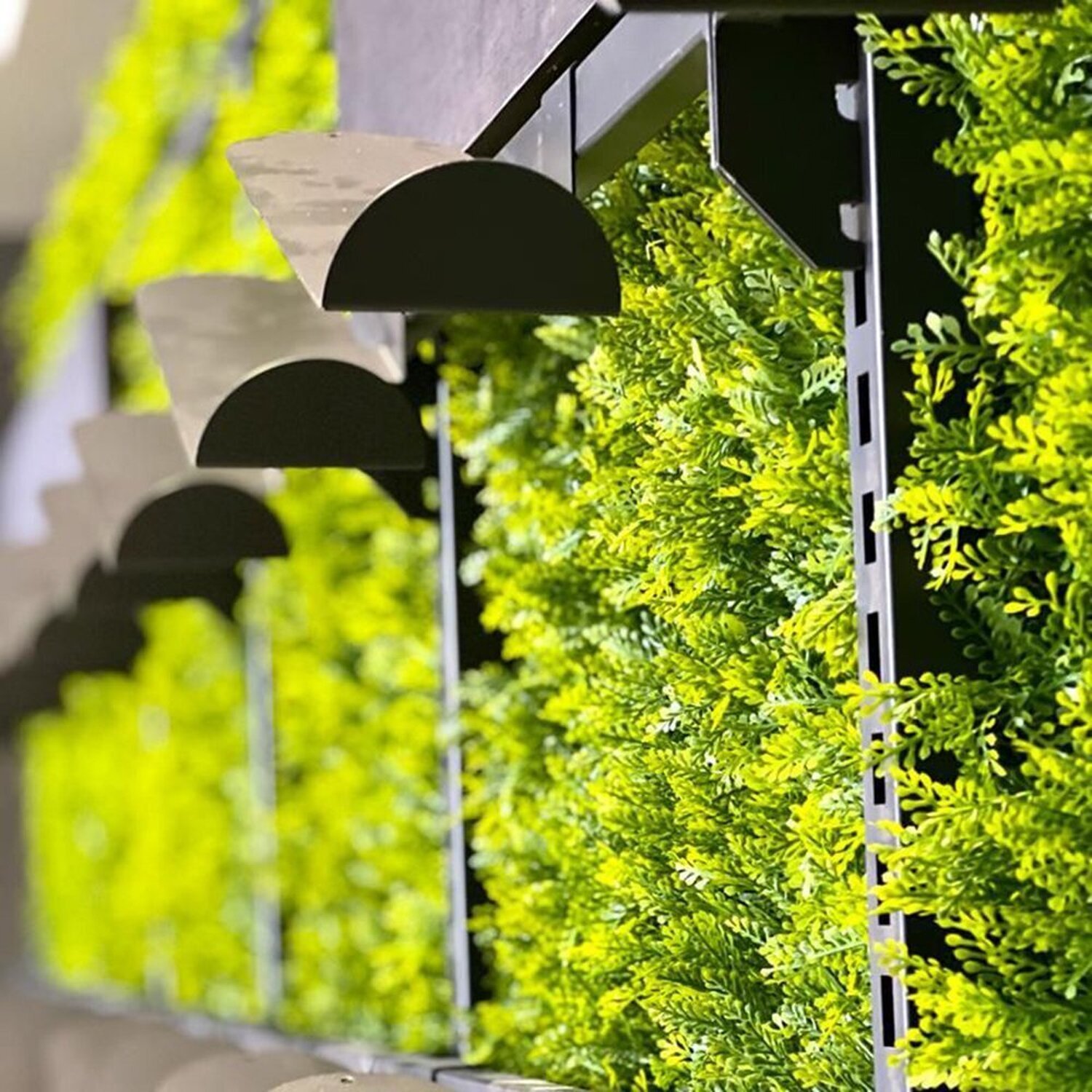 Jardim Vertical Samambaia Gg008a Pack 4pç / 1m² Samambaia - Carrefour