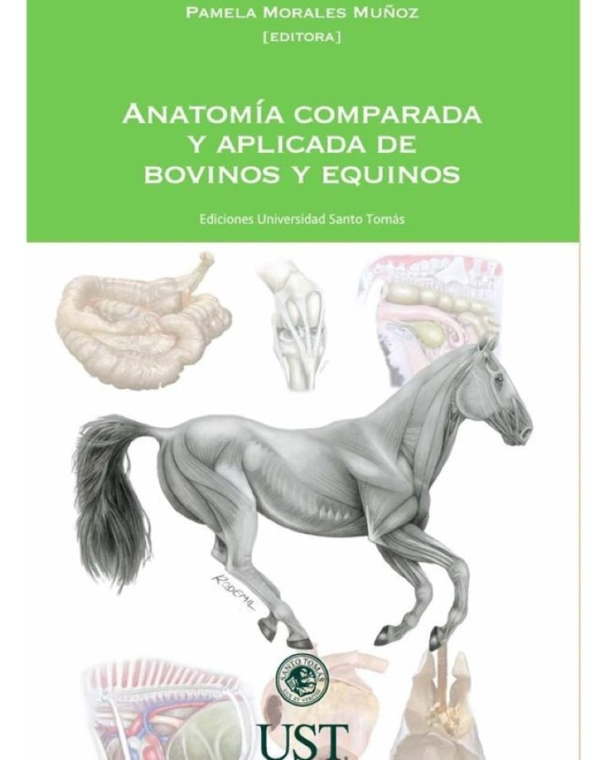 Anatomía Comparada Y Aplicada De Bovinos Y Equinos - Espanhol - Carrefour