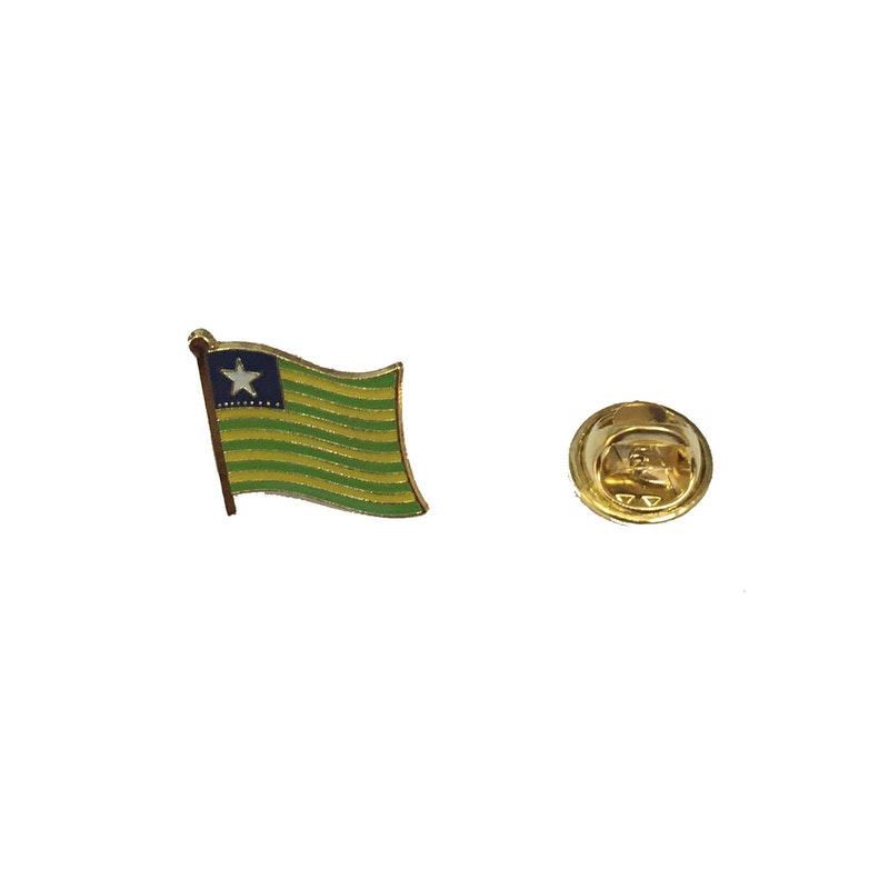 Pin Da Bandeira Do Estado Do Piauí..Pins das bandeiras dos estados ...
