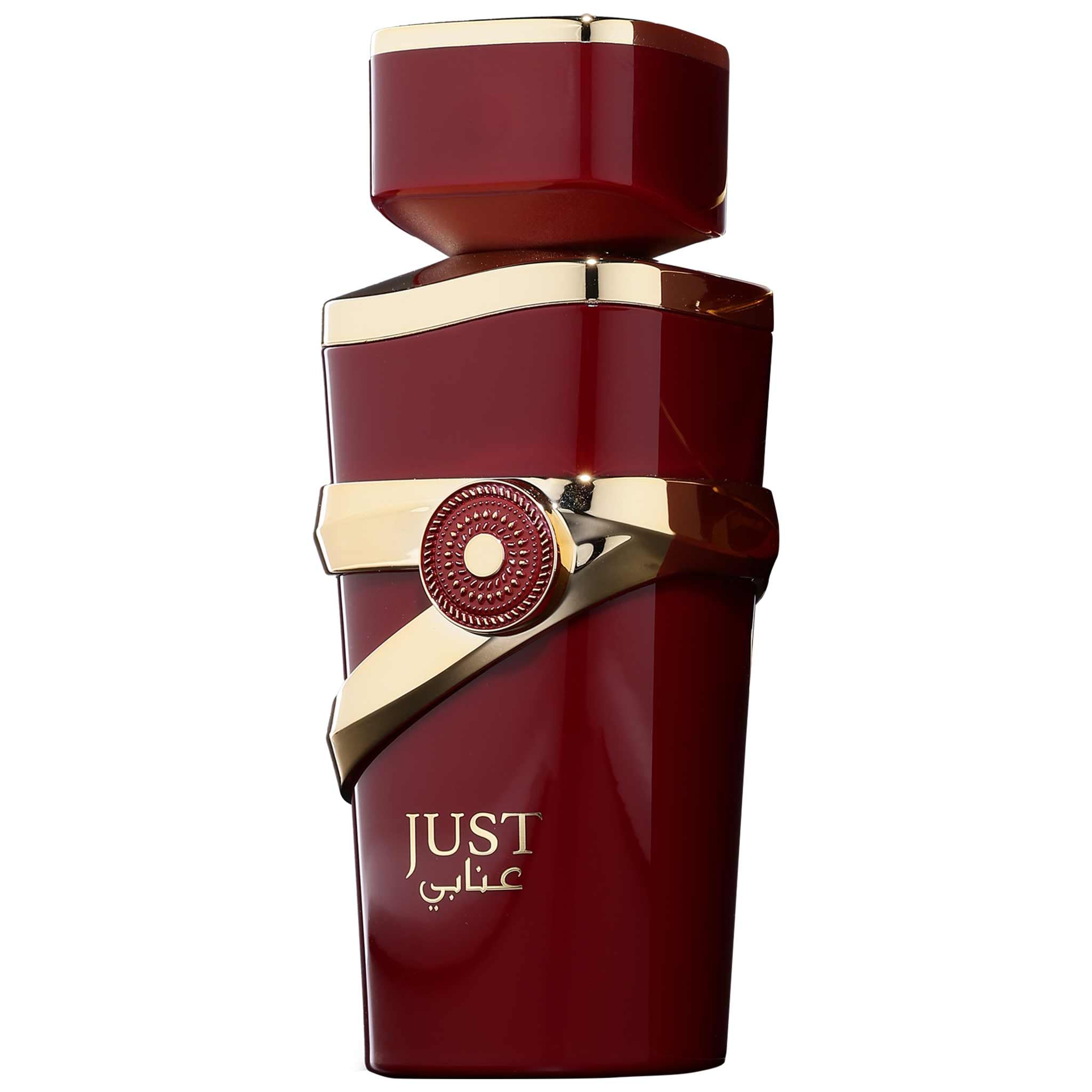 Perfume Fragrance World Just Anabi Eau De Parfum 100ml Para Mulheres ...