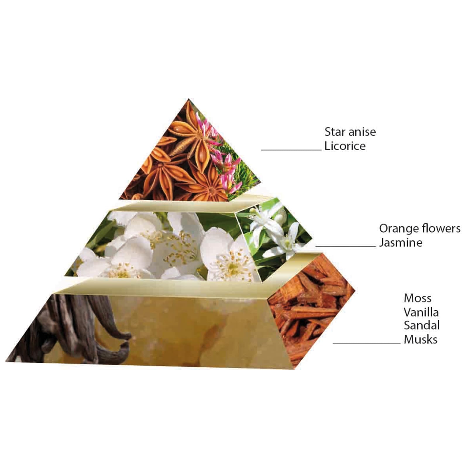 Perfume Pascal Morabito Lady In Red Eau De Parfum 100ml Para Mulheres ...