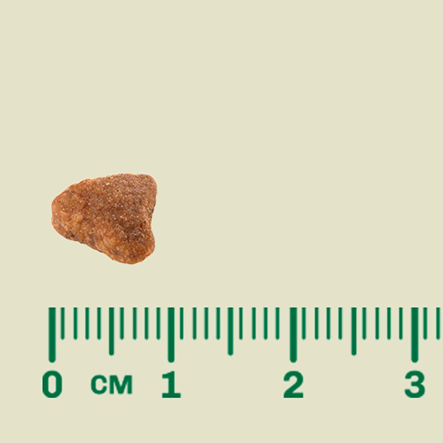 Ração Guabi Natural para Gatos Adultos sabor Salmão & Cevada - 7,5kg ...