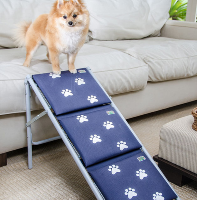 Escada ou Rampa Tubline Rosa - Carrefour - Carrefour