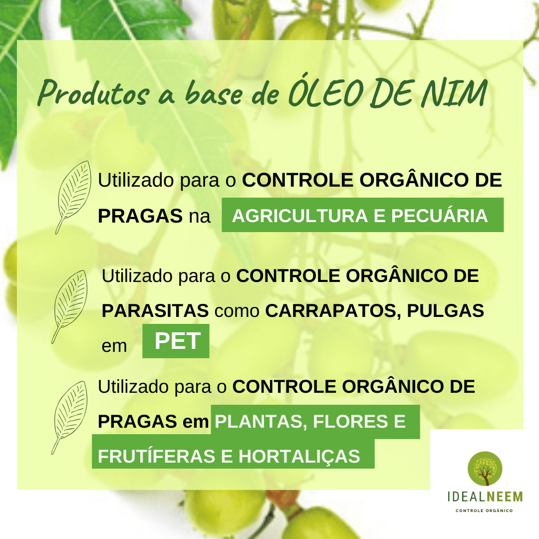 Oleo De Neem Nim P/ Agricultura - Cx 2 Litros - Carrefour