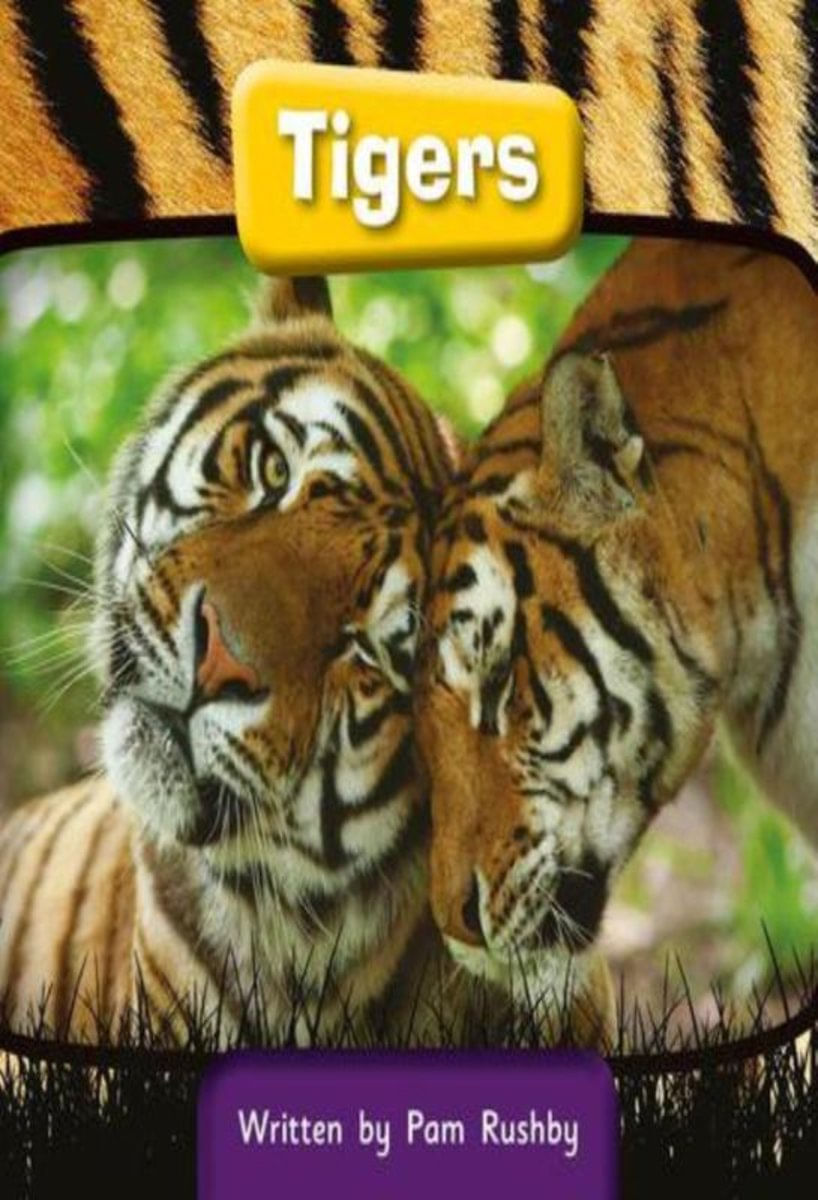 TIGERS - Carrefour - Carrefour